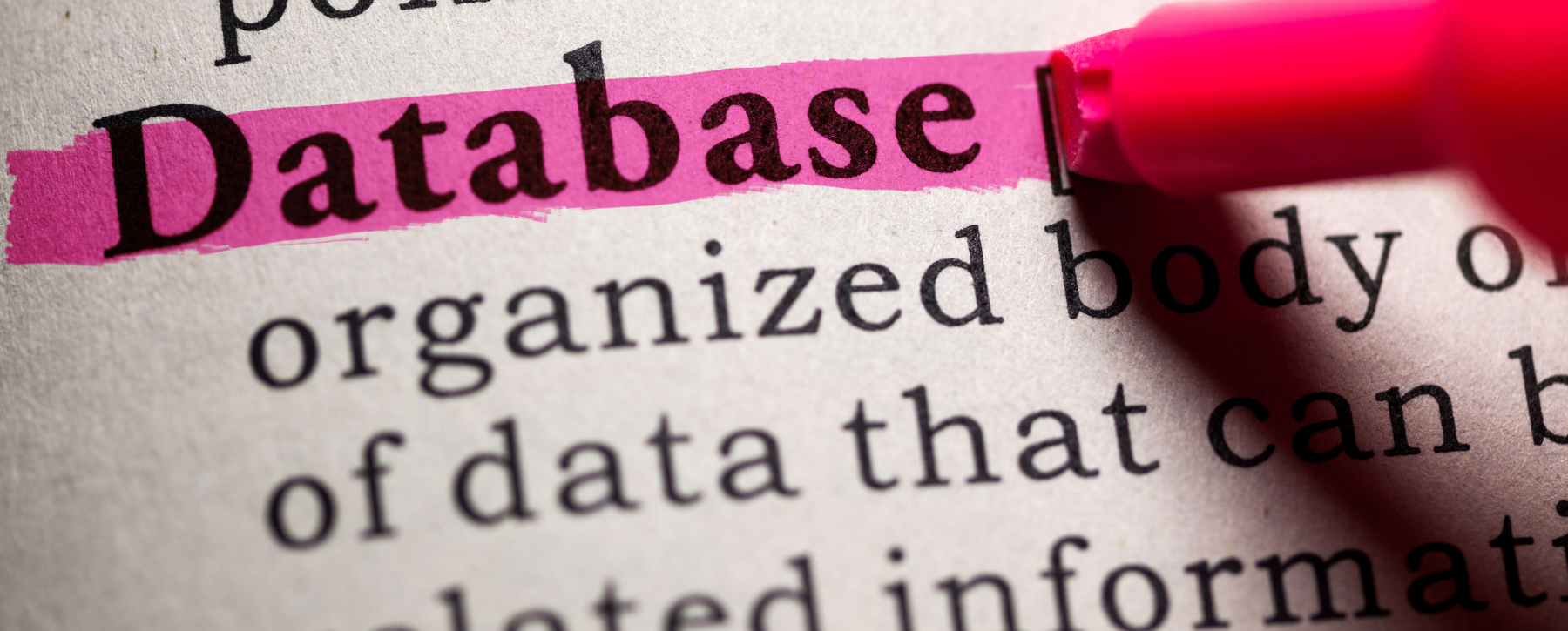 How To Grow (& Nurture) Your Guest Database