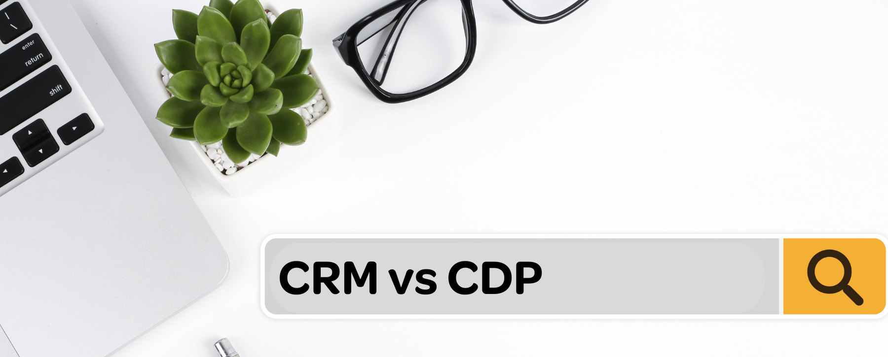 CRM or CDP? Which One Does Your Business Need